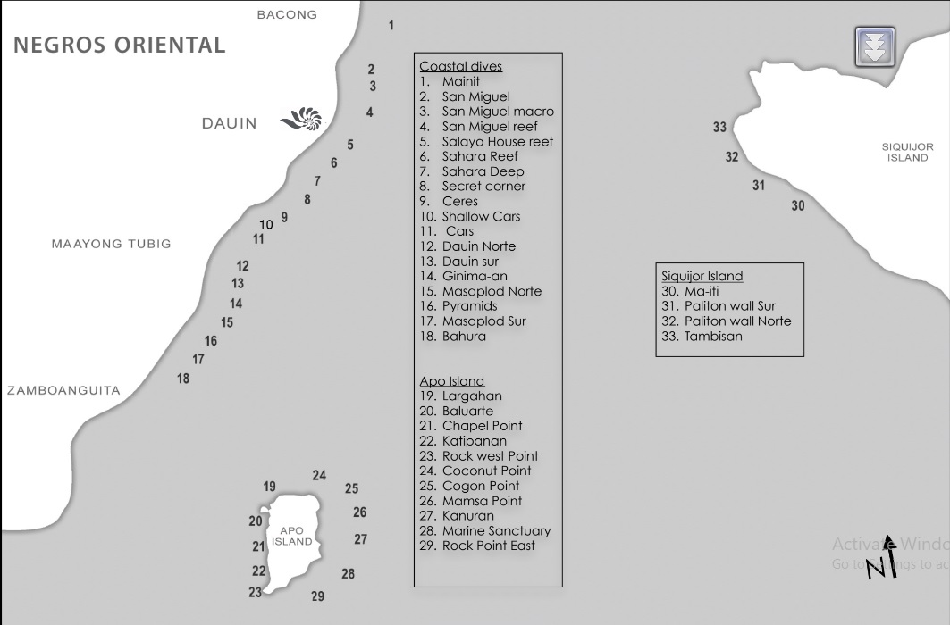 Luxury Philippines Escape to Dumaguete 2027 — Bluewater Dive Travel