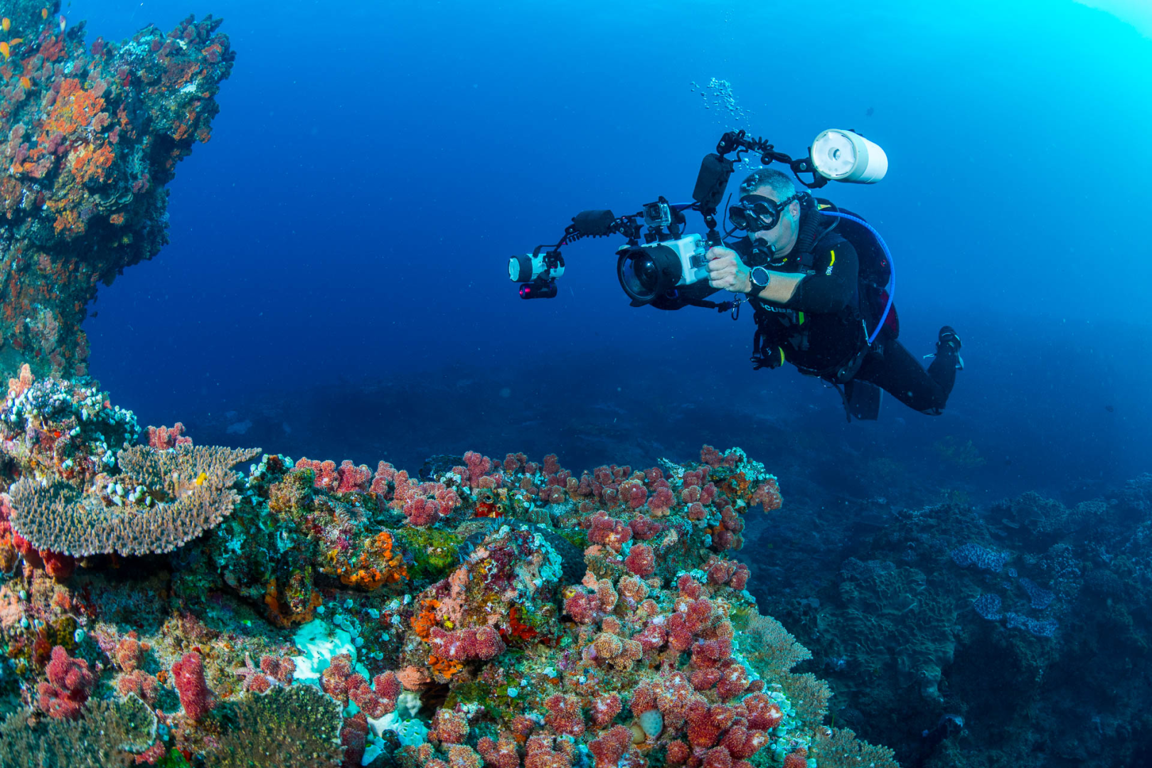 Wayne Tarr - Trip Leader — Bluewater Dive Travel